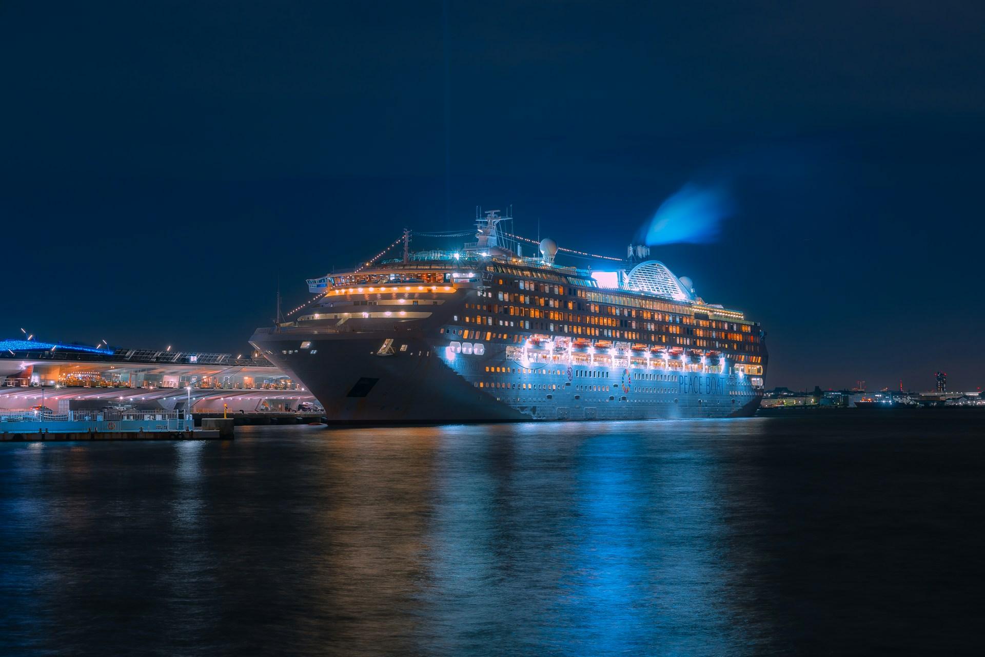 The 11 things cruise passengers discover too late that the brochure ...