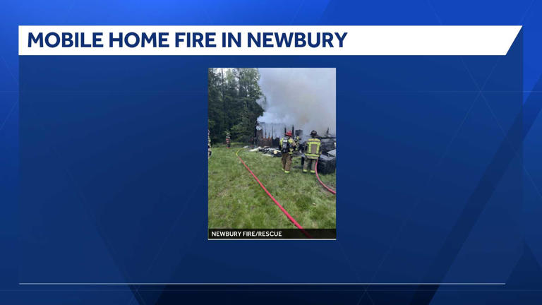 2 dogs and 2 cats are dead after a house fire in Newbury on Saturday ...