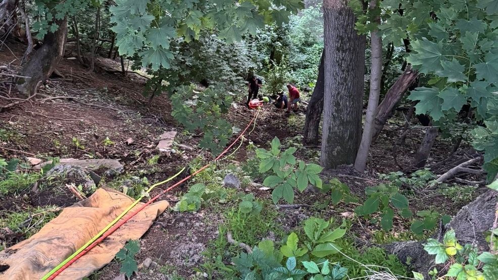 Man falls down steep embankment while attempting to re-home turtle