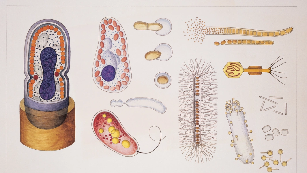 Inside the hidden world of pathogens and resistance
