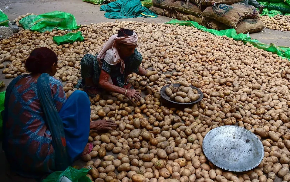 UP’s matthe ke aloo blends tradition with gut health science