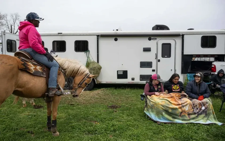 Competitor arrested after alleged horse stabbings at NBHA event