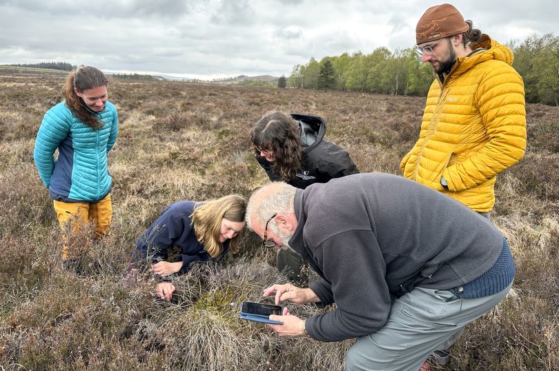'Weird and wonderful' wildlife spotted on Hadrian's Wall as nature ...