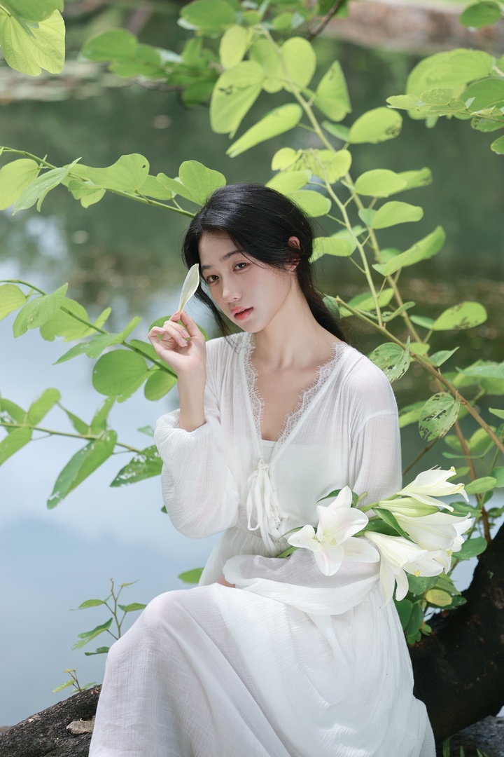 她与百合，都在等一场温柔的风