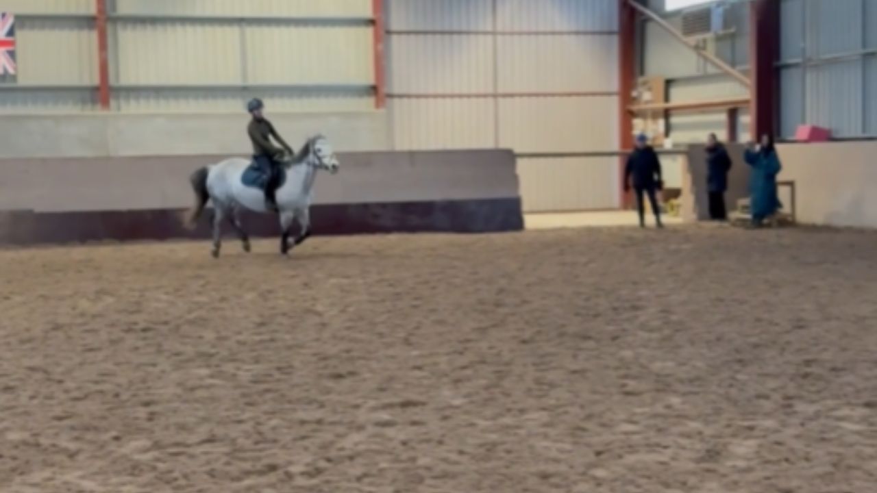 Girl falls off horse after it stops short before jump during riding lesson