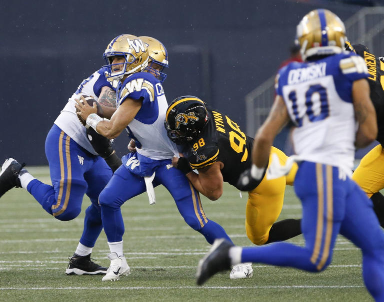Mario Anderson Jr. among 19 players released by Saskatchewan Roughriders