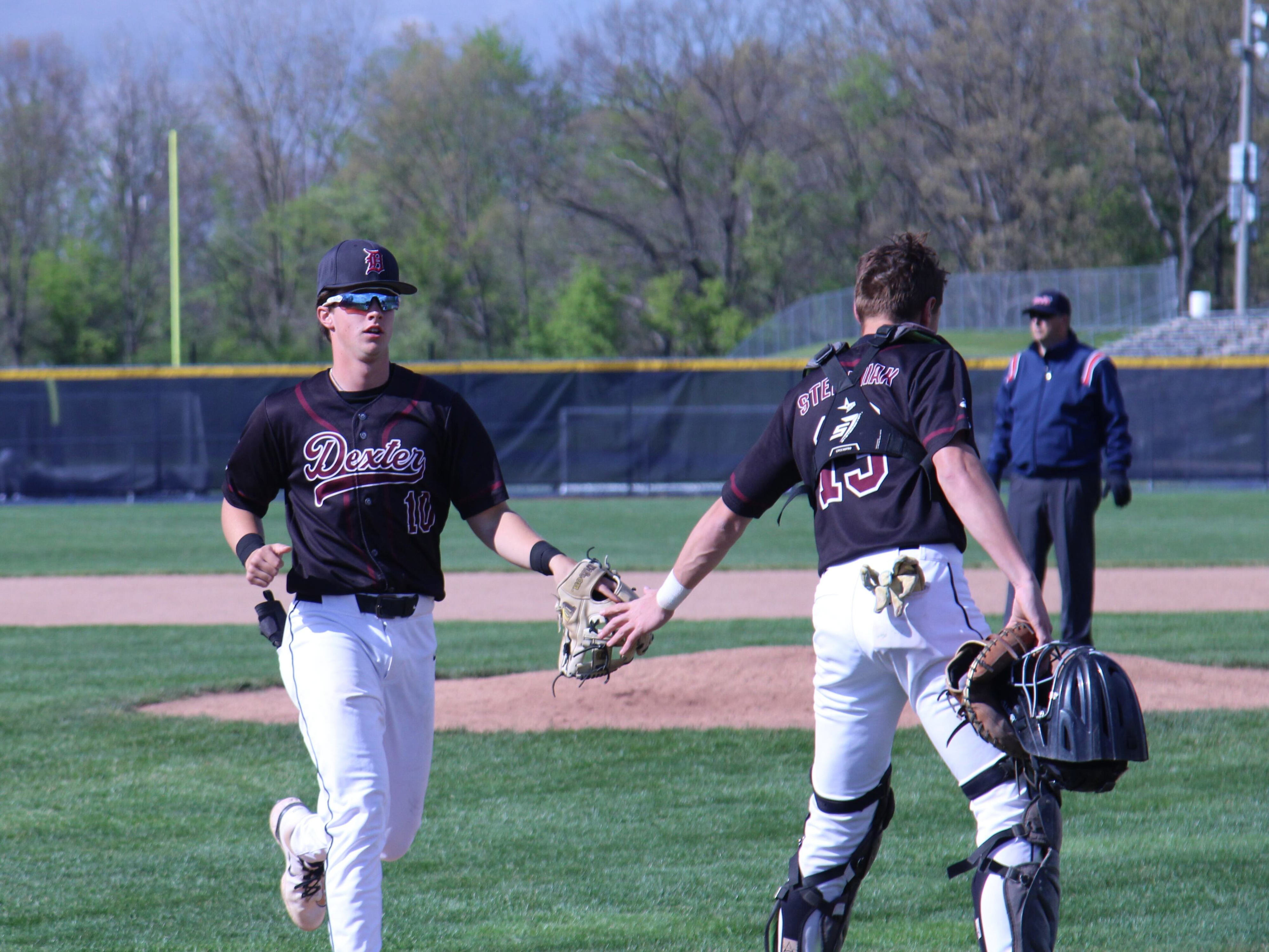 Ann Arbor baseball: Dexter, Whitmore Lake add district titles