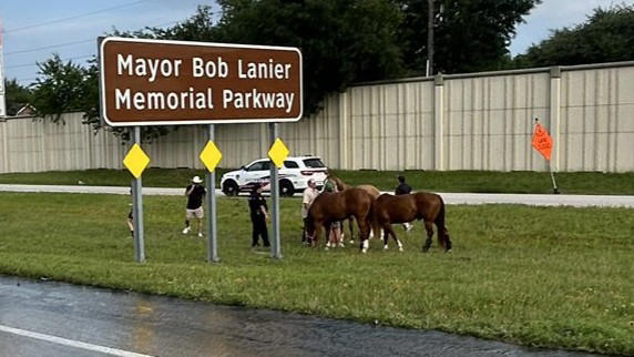 No injuries reported after truck towing horse trailer caught fire in NW ...