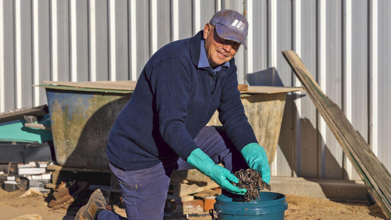 'It's like a decaying body': Australian farmers battle mouse plague
