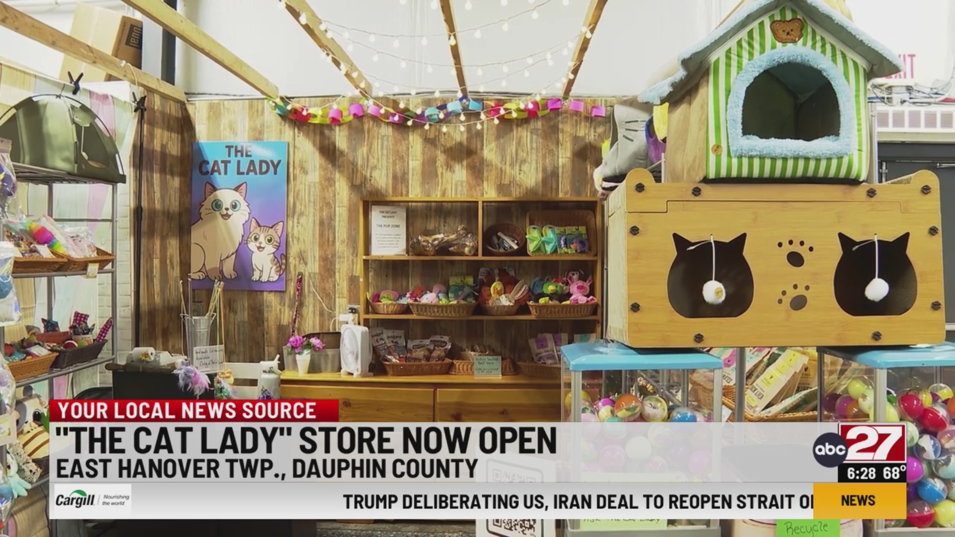'The Cat Lady' store opens in Dauphin County