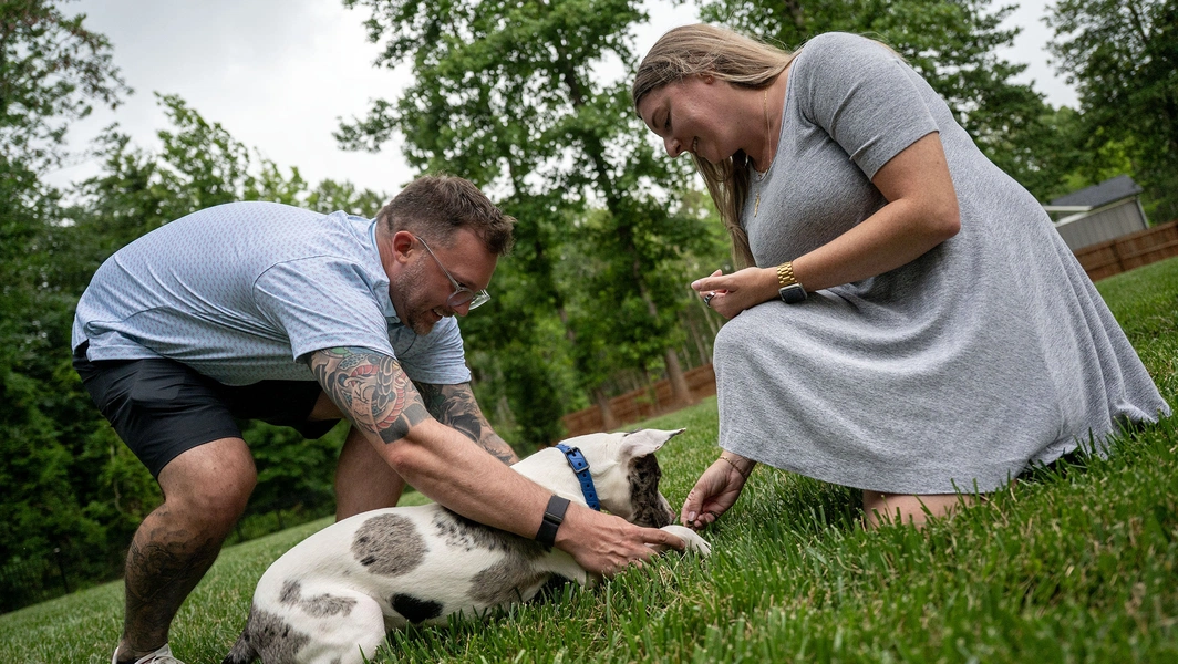 Why fostering dogs changes everything for them