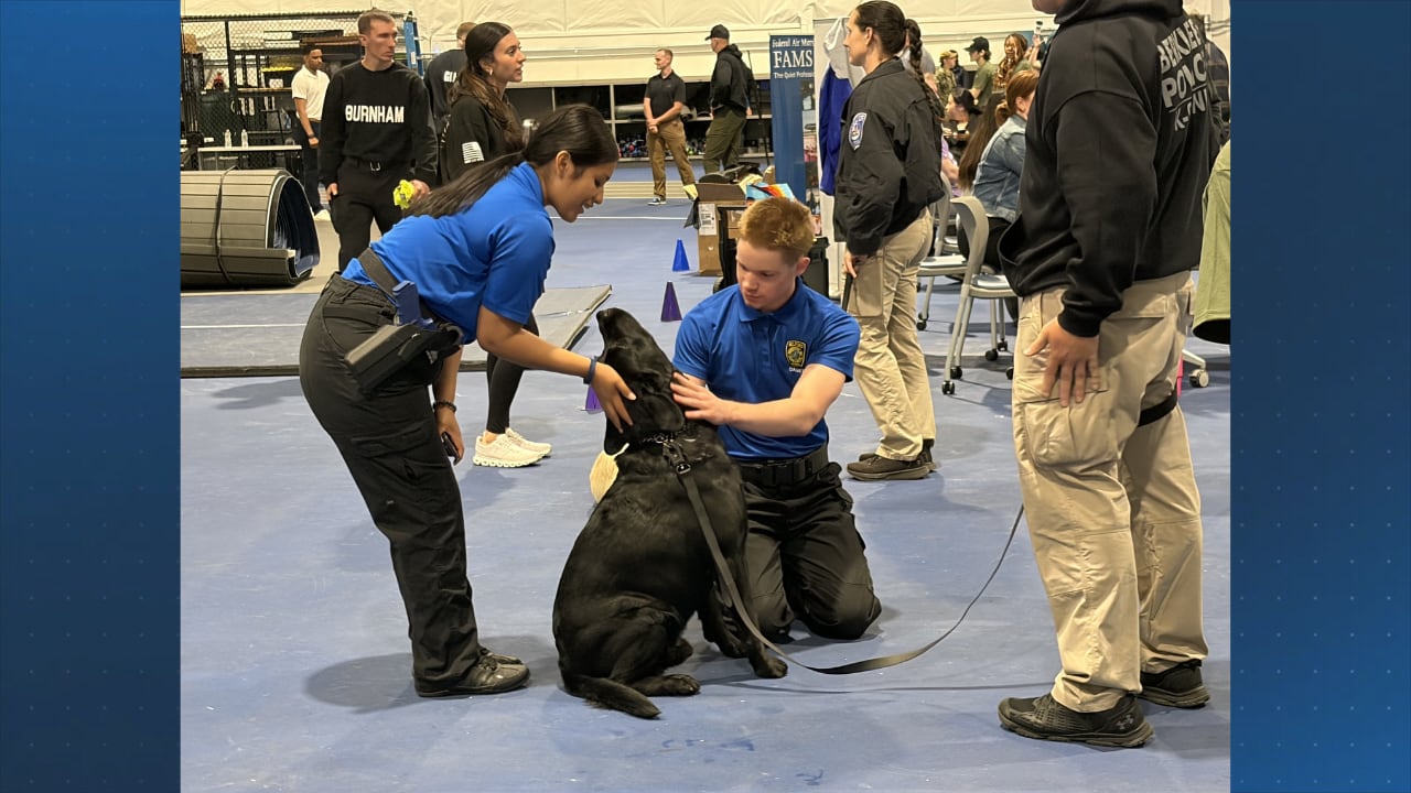 Scouting America Greater Boston, MPTC, hosts 28th annual Law ...