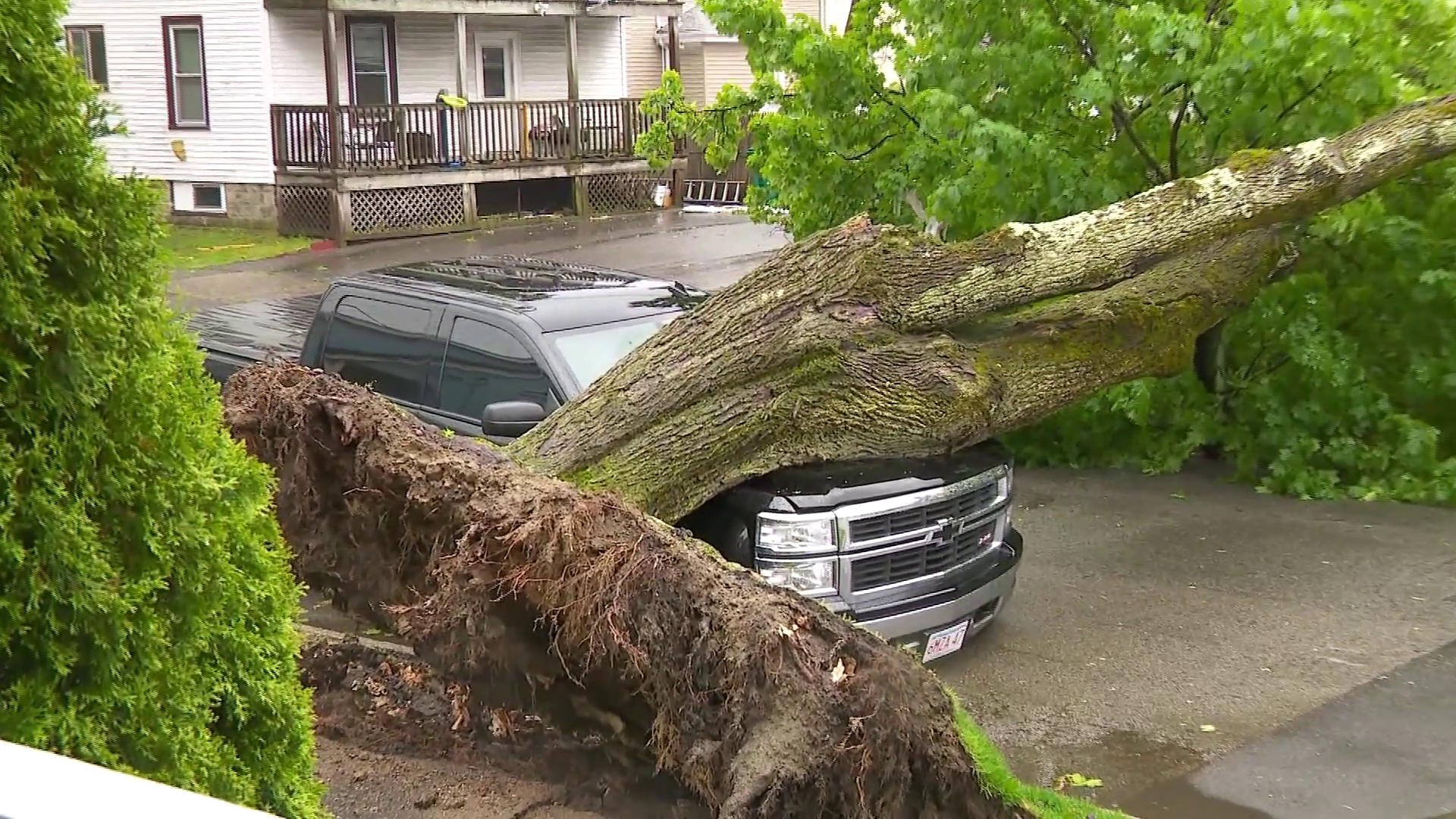 Strong winds, rain cause tree damage and outages across eastern Mass.