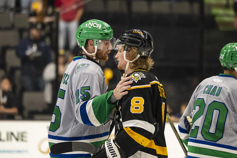 Florida Everblades take down the Wheeling Nailers to end season