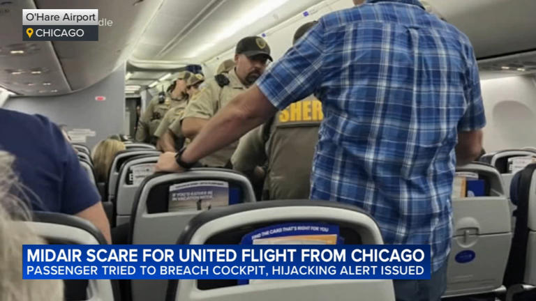 Man tried to breach cockpit of United flight from Chicago, forcing ...