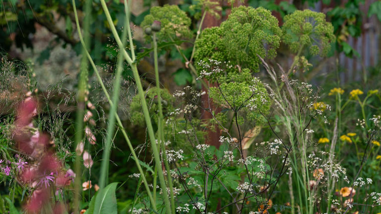 Chelsea gold-winning garden finds new home