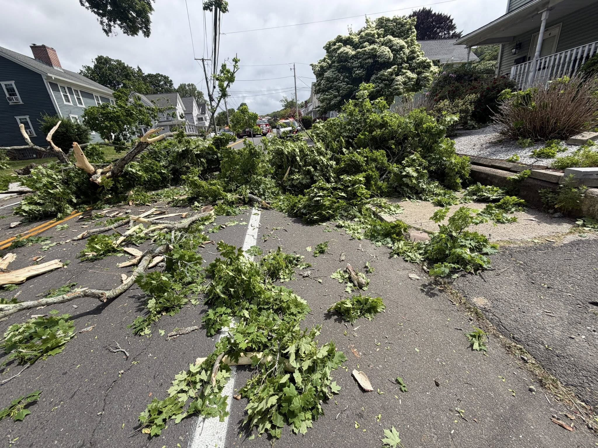 Around 10,000 without power as wind knocks down trees across Connecticut