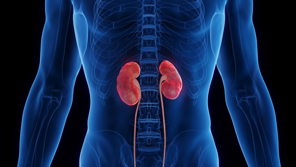 Kidney damage often shows no symptoms until it's too late, warns doctor
