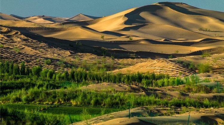 China's secret weapon against deserts? A bacteria that creates fertile ...