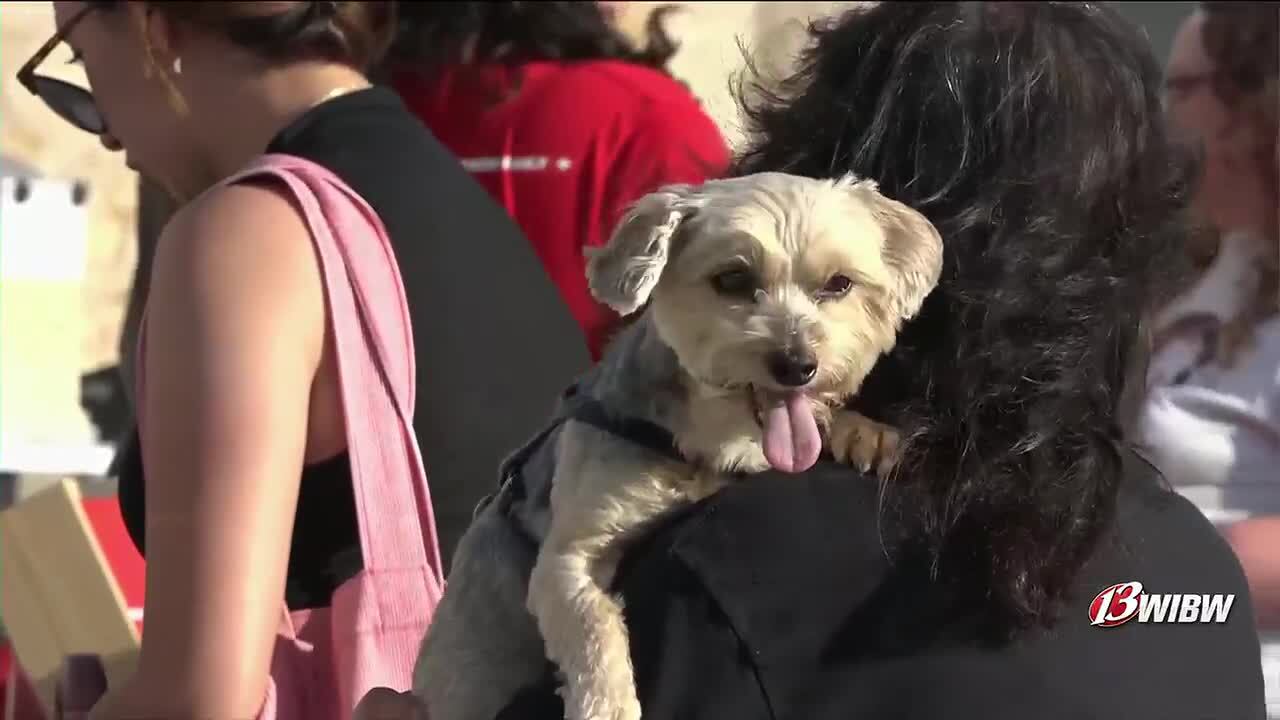 Doggie Date Night draws crowd to Evergy Plaza despite weather concerns