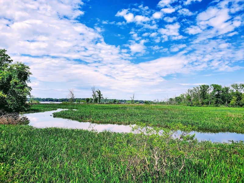 This Maryland Narnia trail turns an ordinary family walk into a magical ...