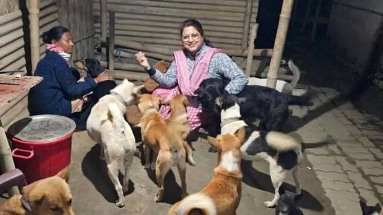 From academia to animal welfare: How Assam’s Prapti Foundation emerged ...