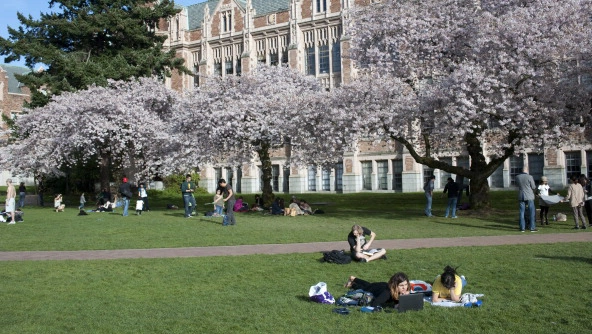 11 most beautiful college campuses in the US