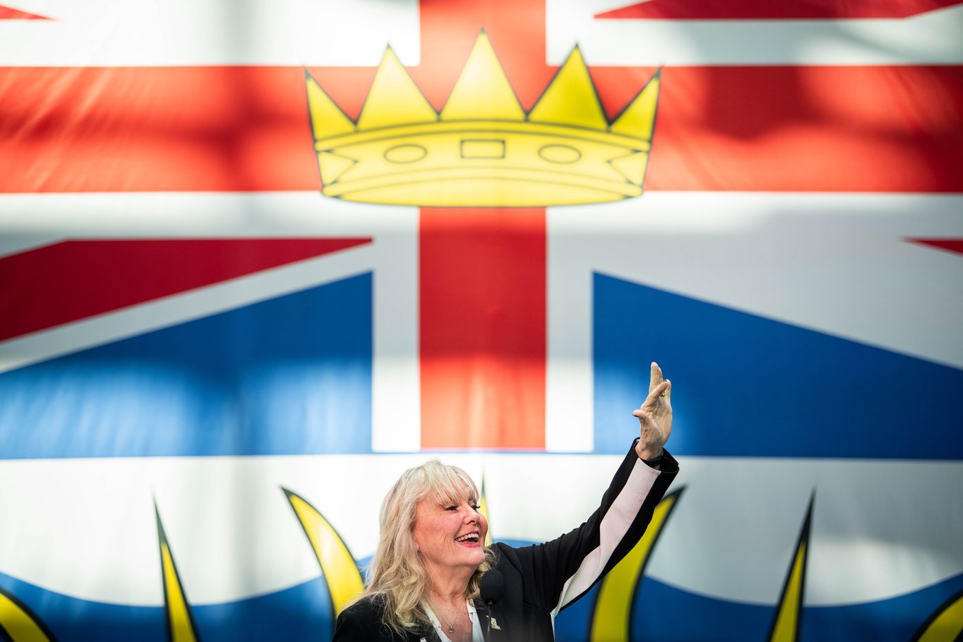 Former federal MP Kerry-Lynne Findlay wins BC Conservative race