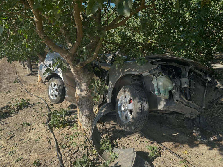 Woman injured after crashing into pistachio trees in Madera County, CHP ...