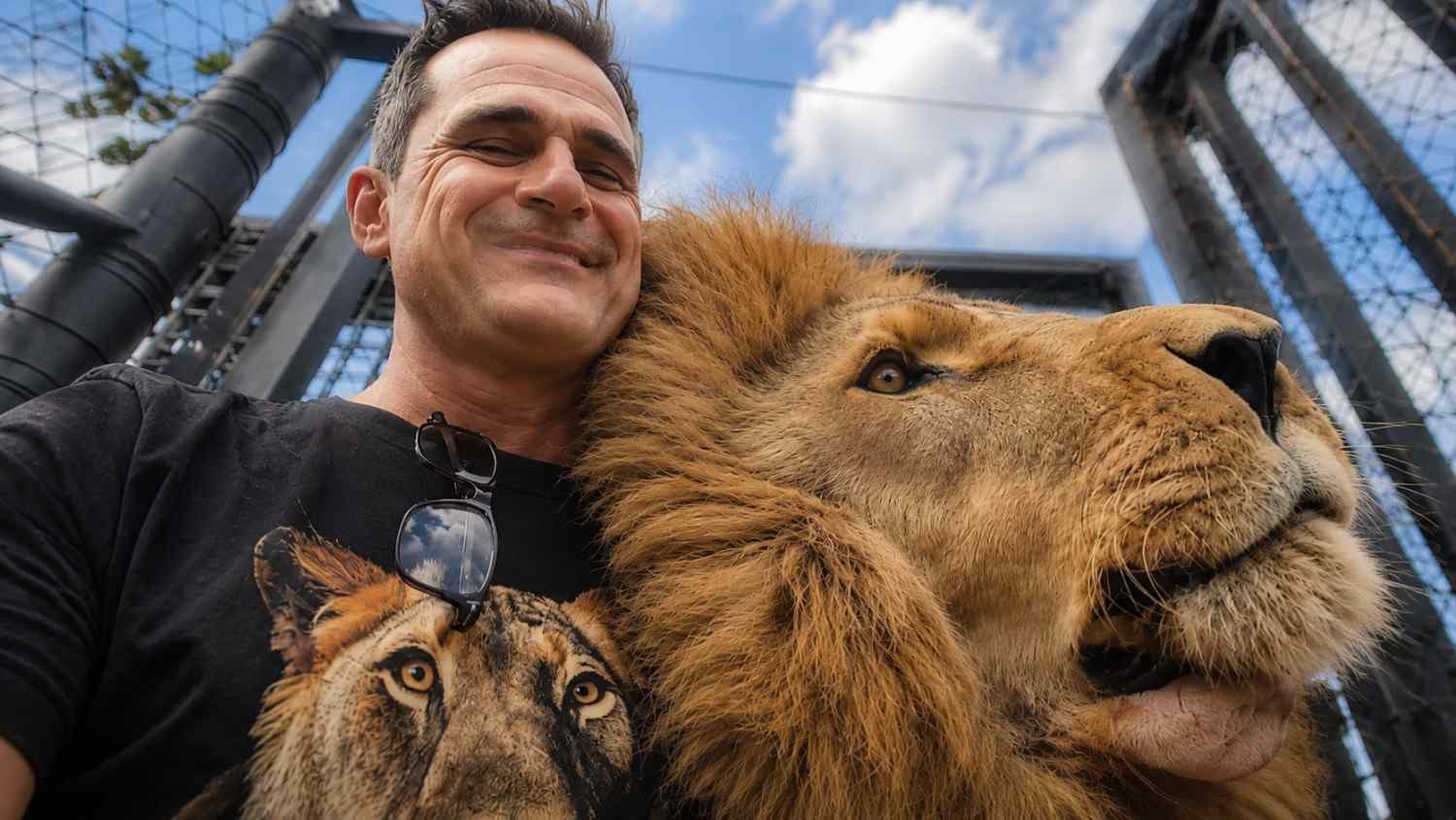 The first step into a lion’s new home