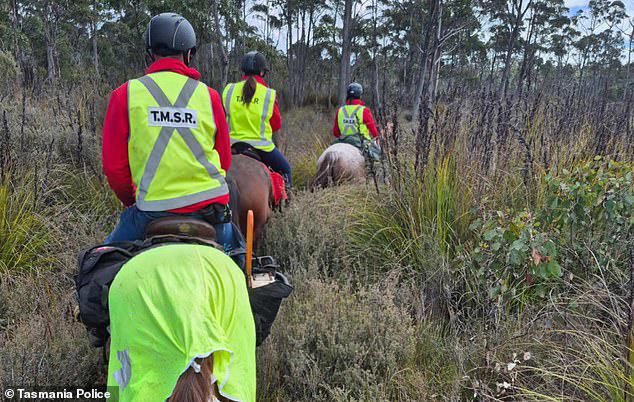 Search for missing bushwalker Peter Willoughby comes to a tragic end ...