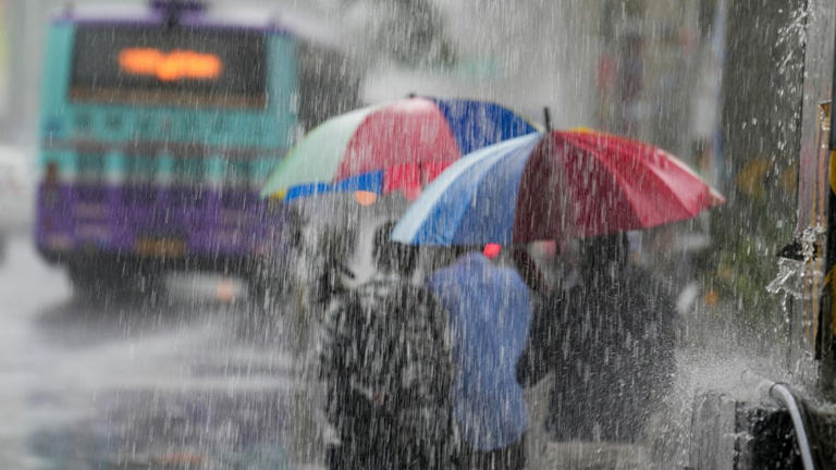 How heavy rain dropped Delhi's night temperatures and cleared toxic air