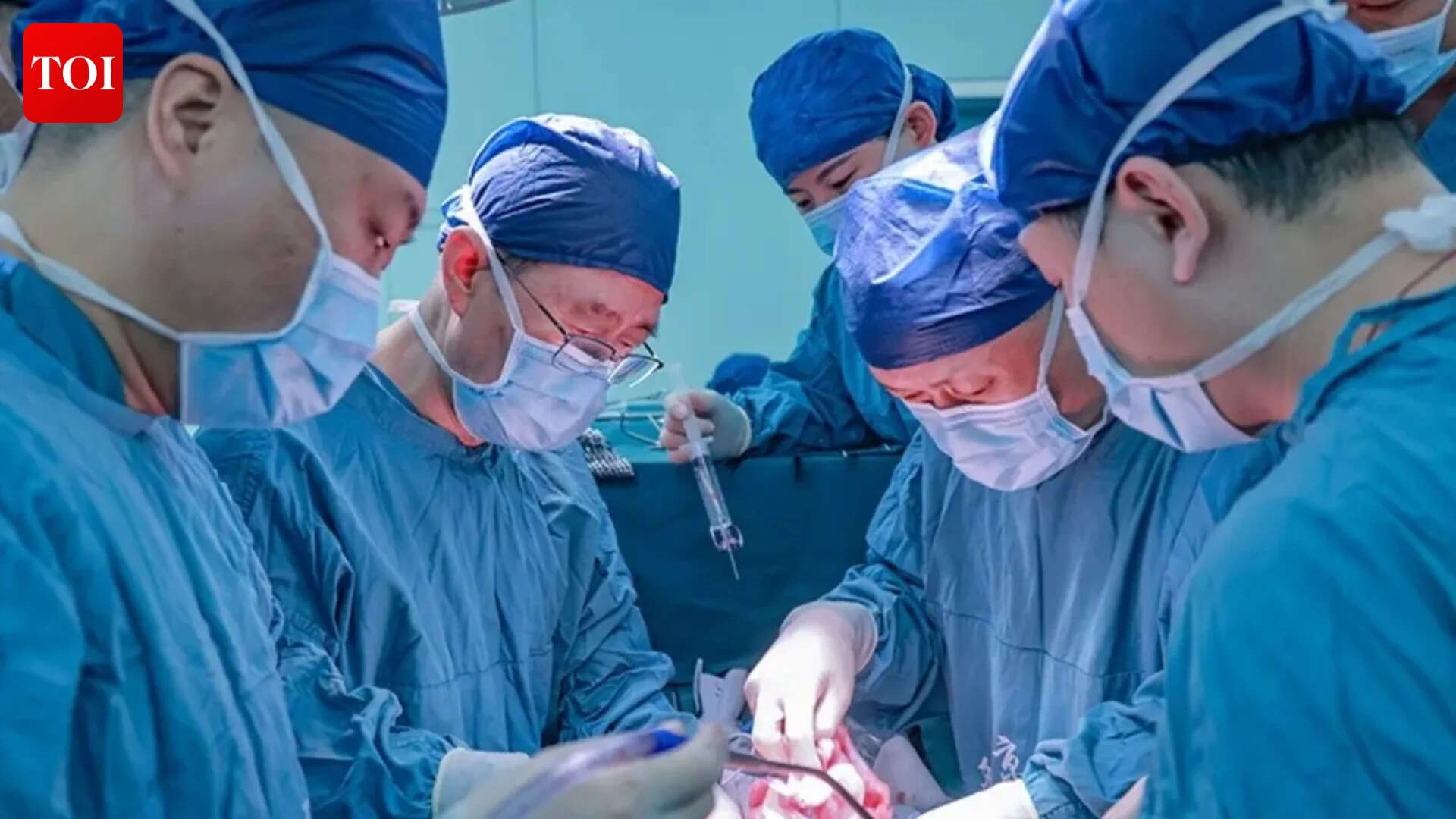 Could pig organs transplant end the donor crisis? First human receives ...