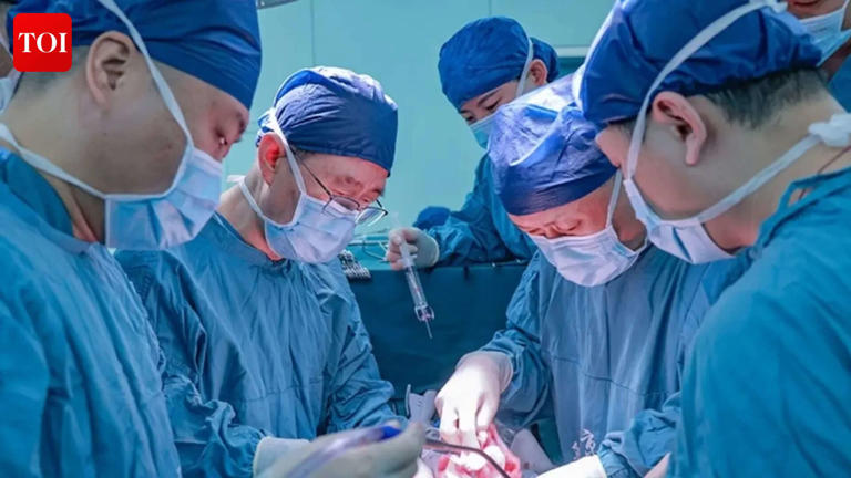 Could pig organs transplant end the donor crisis? First human receives ...