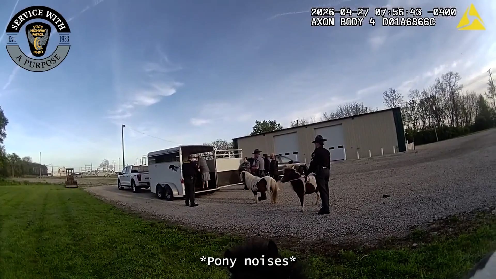 Runaway ponies rounded up by state troopers in Ohio