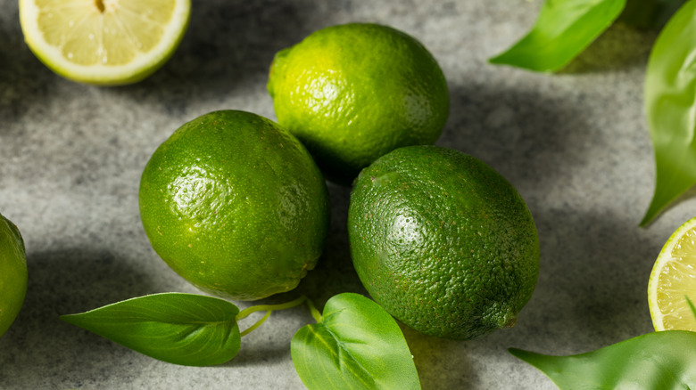 10 Types of Lime, explained