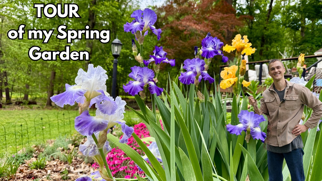 Spring flower garden tour