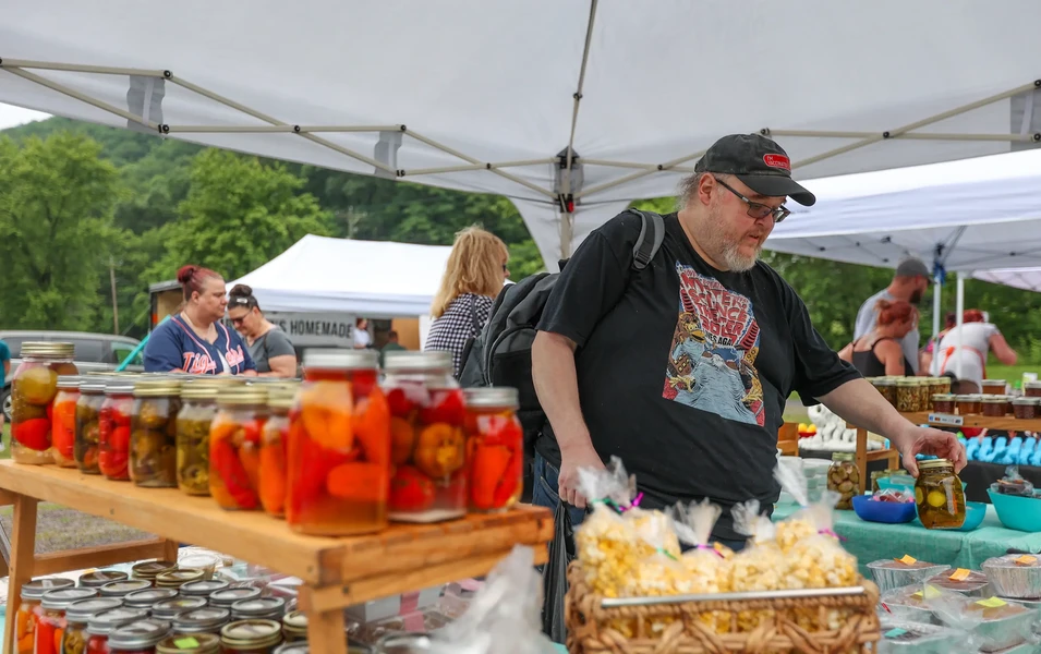 The crunchy truth about fermented pickles