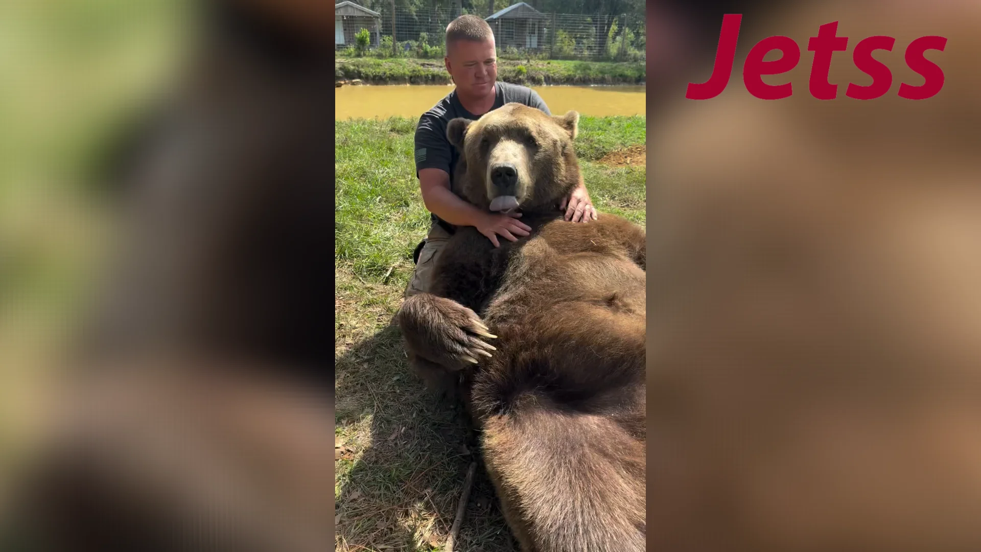 Laço de 15 anos: A impressionante e rara amizade entre homem e urso gigante
