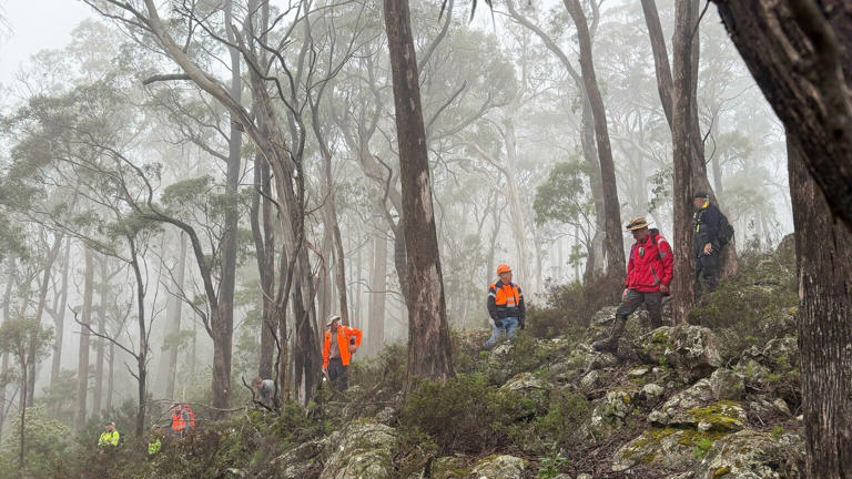 Tasmania Police 'open' to learning from volunteer group that has found ...