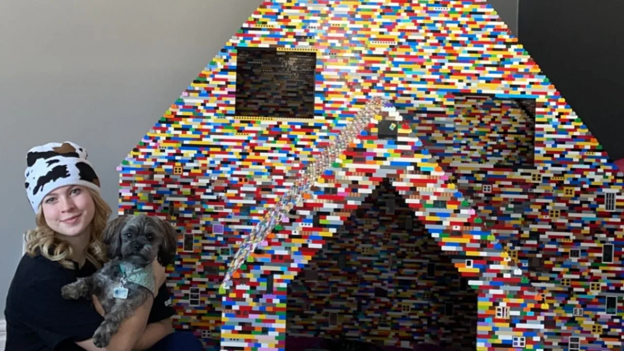 Lego-loving mom builds life-sized dog houses from massive brick ...