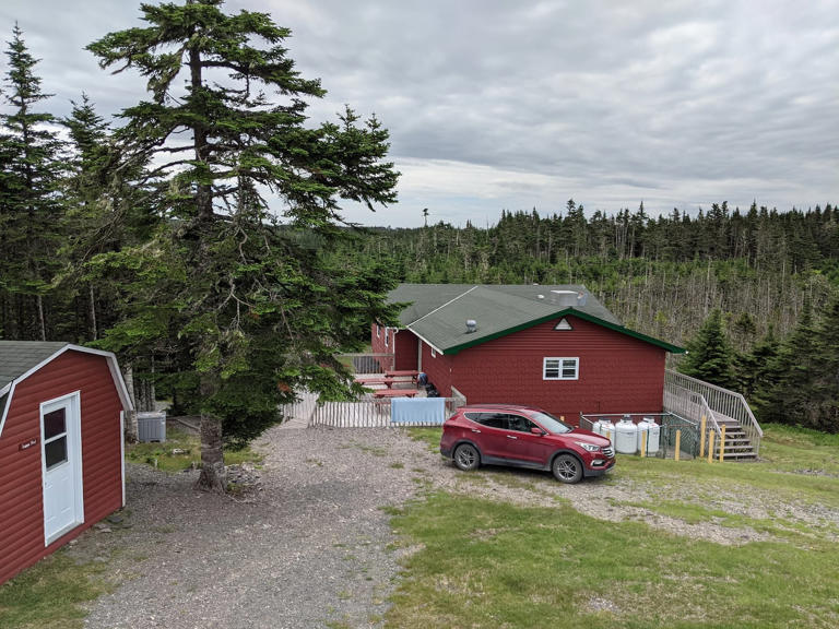 $5K donation saves trans and gender-diverse youth camp from cancellation