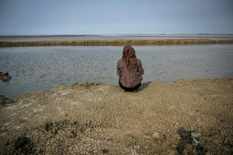 Two decades later, impacts from Indonesia mud volcano linger