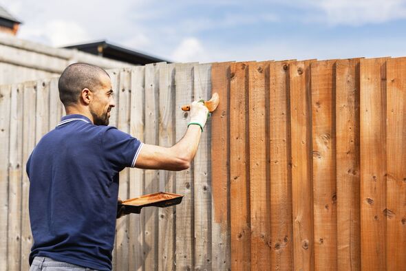 Anyone painting a fence in their garden urged to stop making 1 common ...