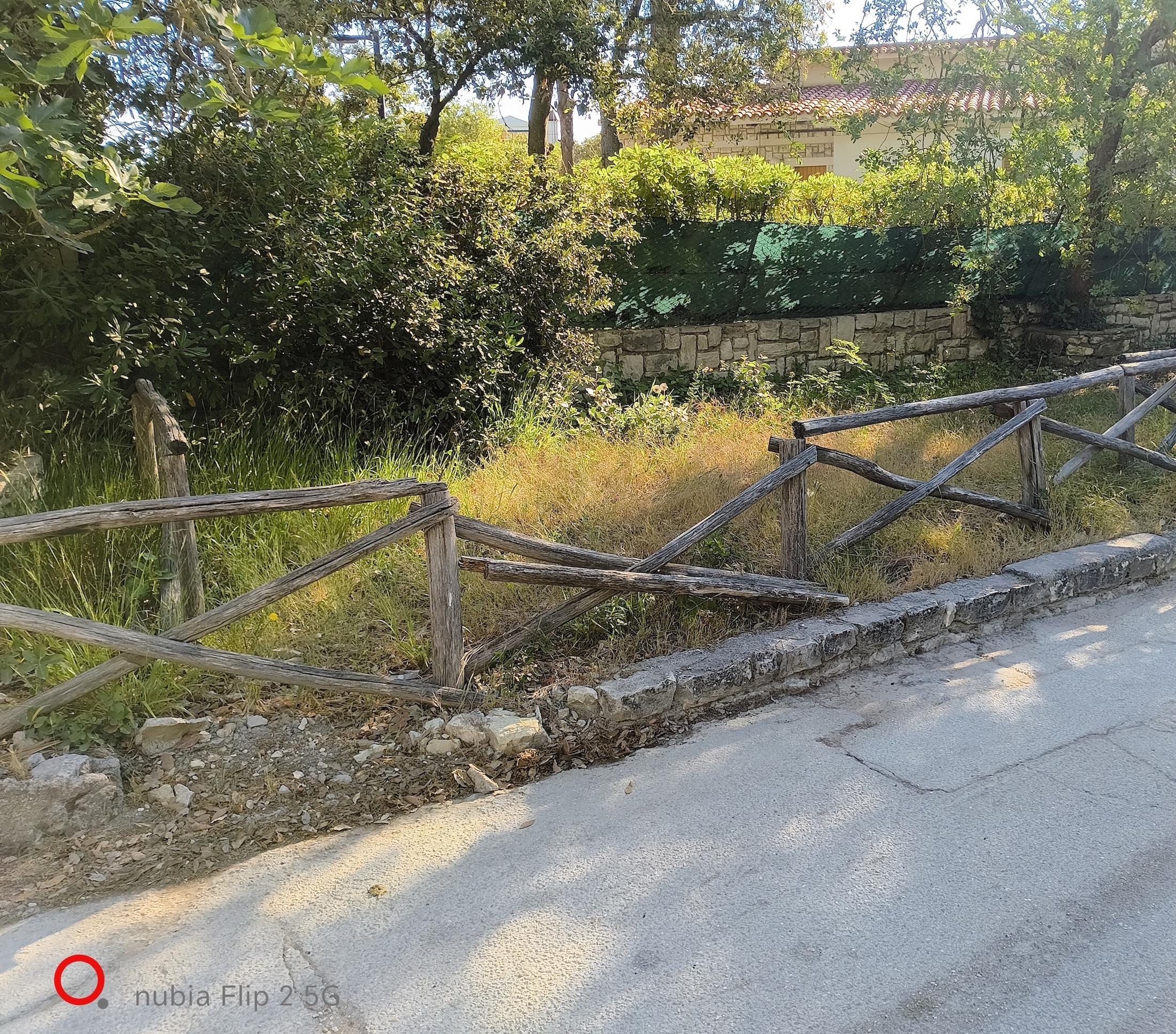 Portonovo, stagione al via. Ma pecca di manutenzione: canne alte verso ...