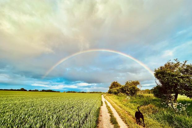 Butterflies, hares and rainbows - Camera Club captures a lush green May
