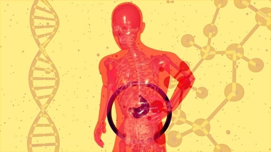 From fibremaxxing to gut-brain axis wellness, these 5 gut health trends ...
