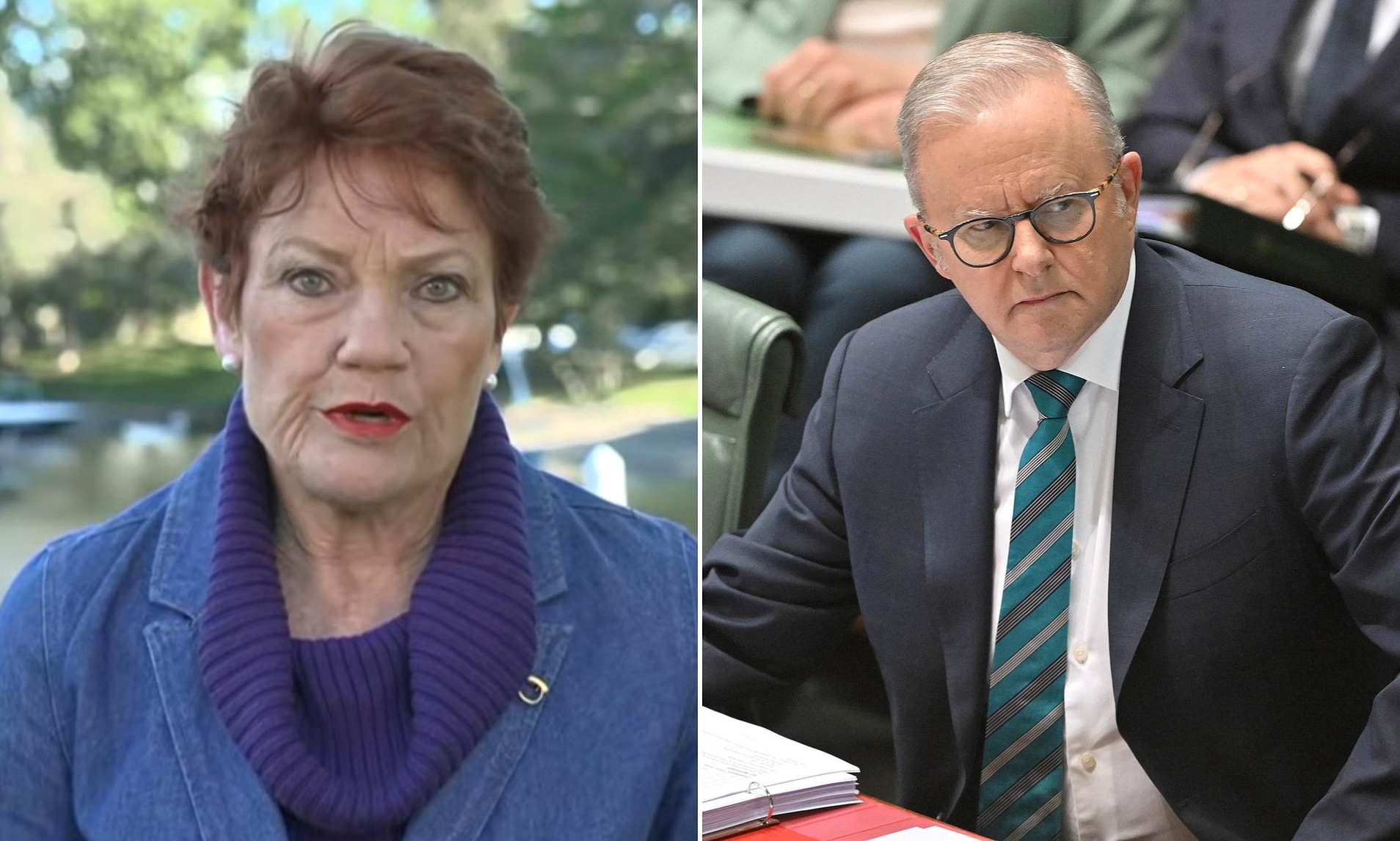 Pauline Hanson sets her sights on PM role as she doubles down on ...
