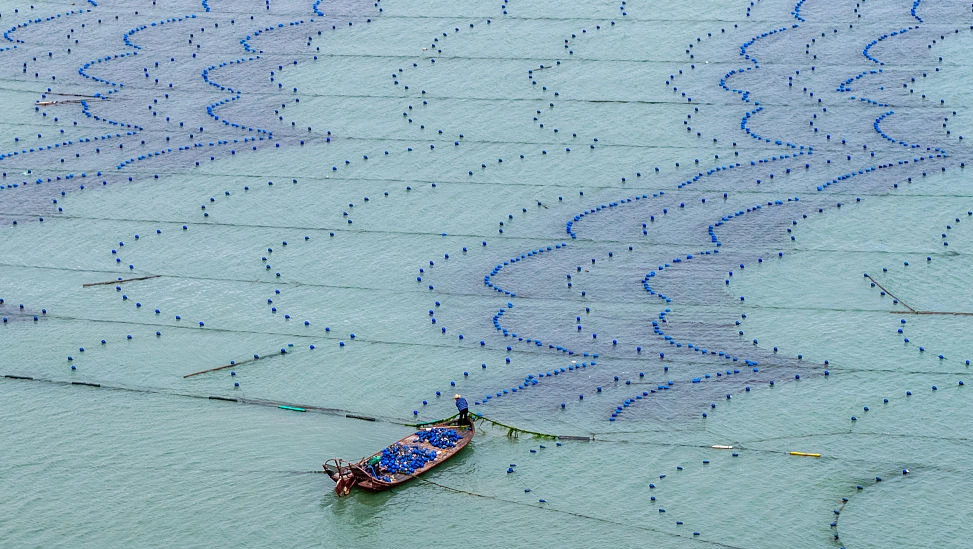 Coastal foraging adventures for nature-loving foodies
