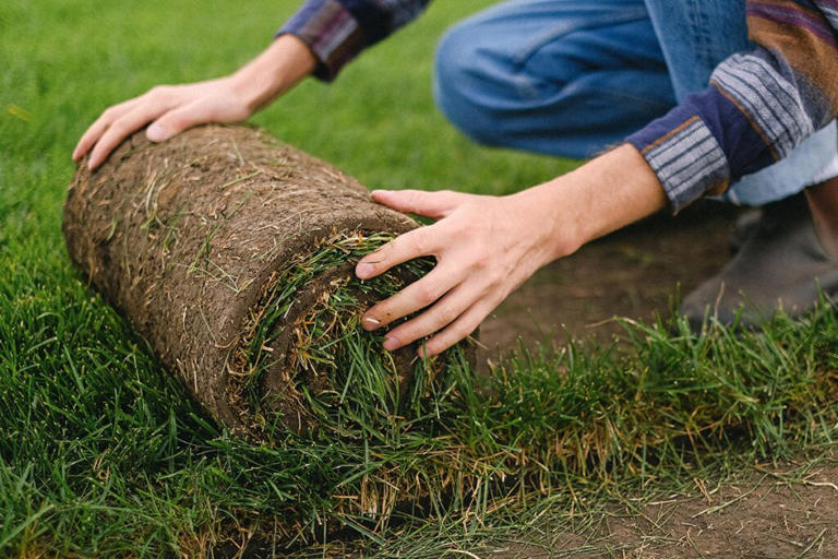 Rasen neu anlegen: Diese Schritte sorgen für perfektes Grün